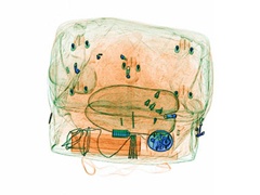 The Basics of an IED and its PIES Components